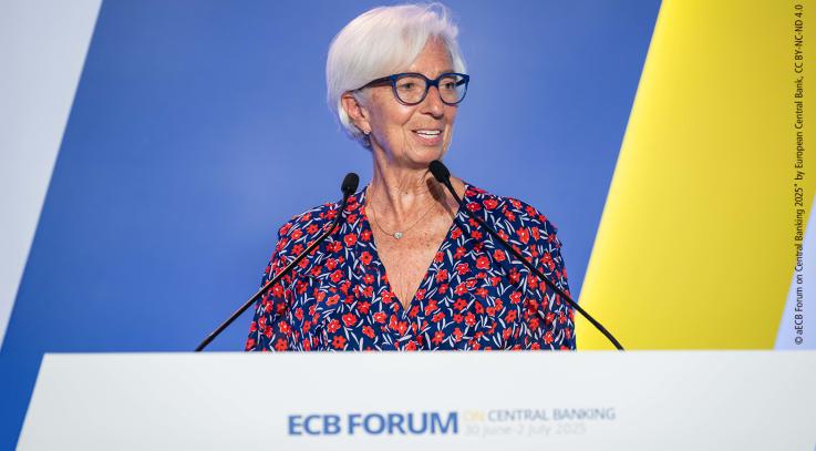 Activities | National Bank of Belgium